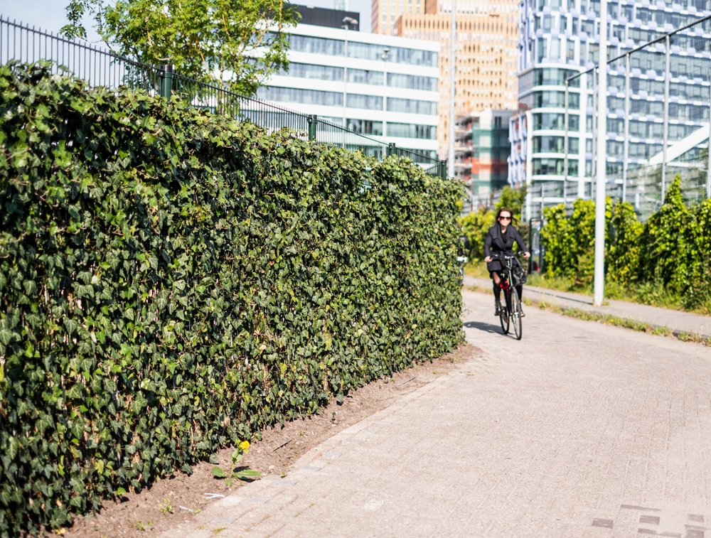 Mobilane Kant & Klaar Haag-Mobilane - NL Greenlabel Producten